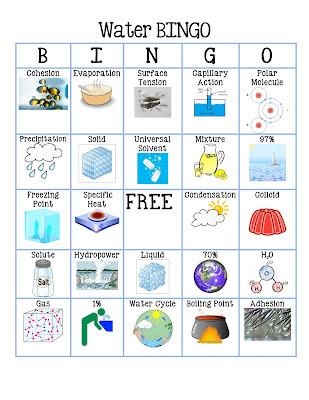 Tween Teaching: Super Science BINGO Bundle