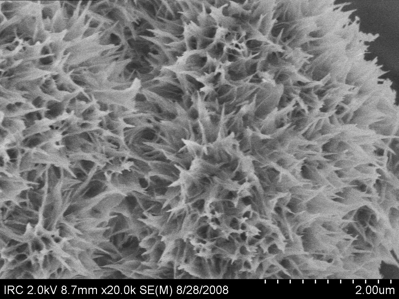 The Concrete Mix: What is the difference between Type 1, 2 & 3 Cements