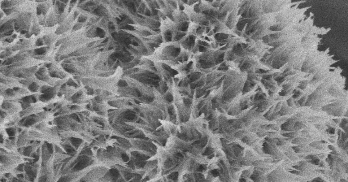 The Concrete Mix: What is the difference between Type 1, 2 & 3 Cements