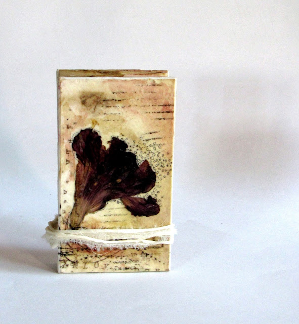 Letting in the Light: Finding Violet