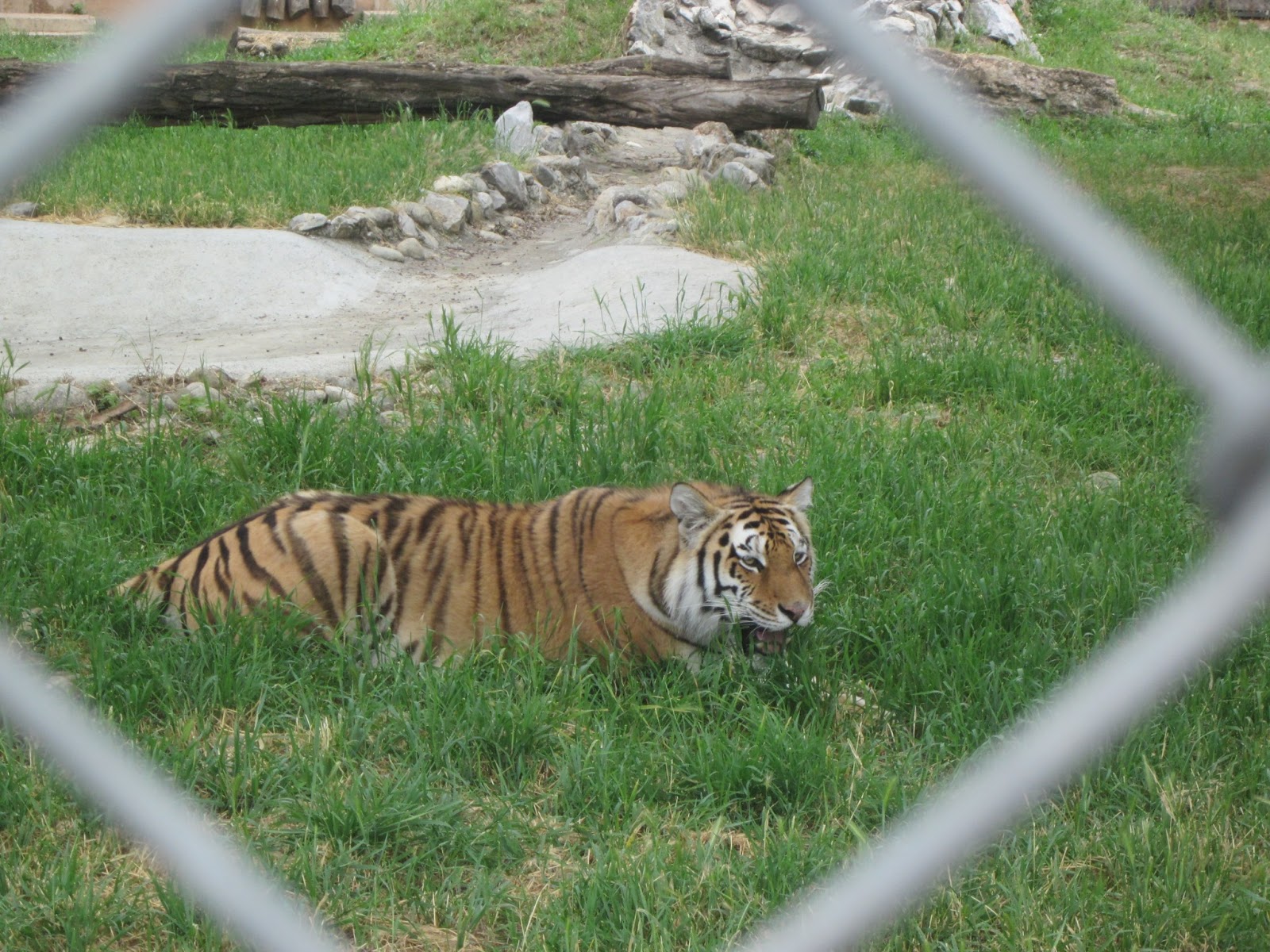 With Love From Macedonia: The Skopje Zoo