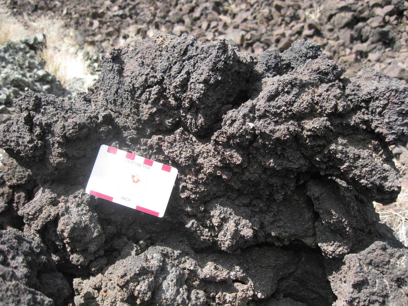 The Great Crater Adventure