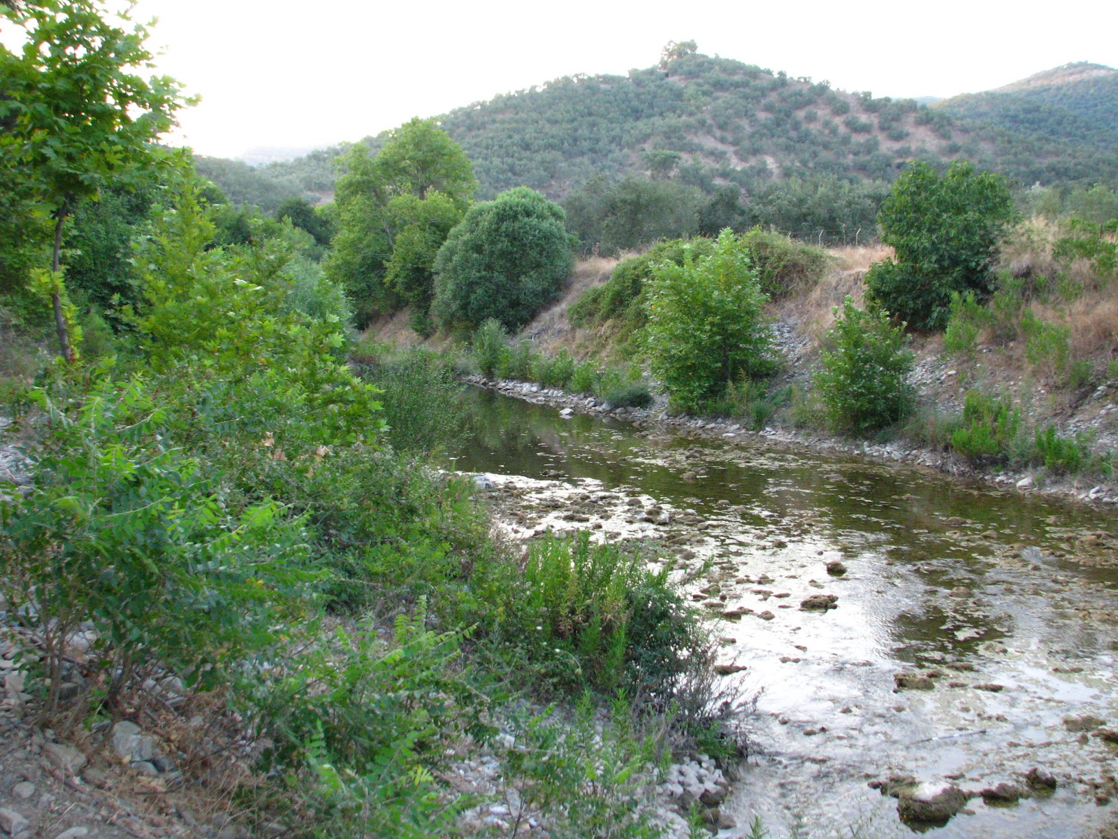 Turkish Adventures: Back to Turkey! Volunteering at an Organic Olive Farm