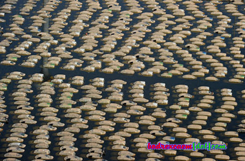 Sembarang Posting: Bodrex Caem