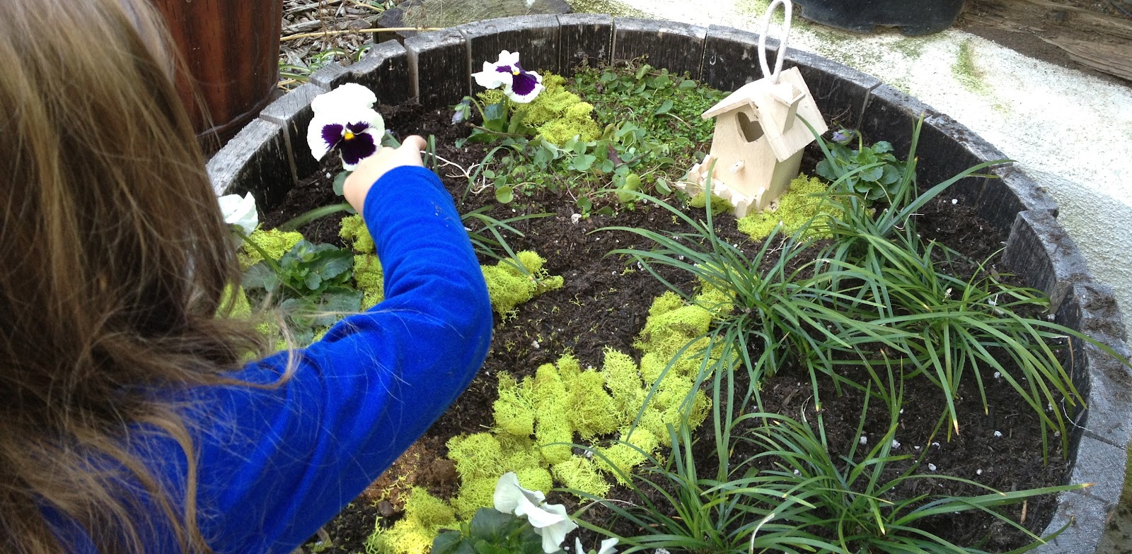 The Concoctions of My Life: Fairy Gardens,Frolics, and No More Farts ...