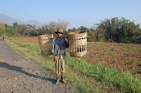 WARISAN MINDA: Ceria Minda