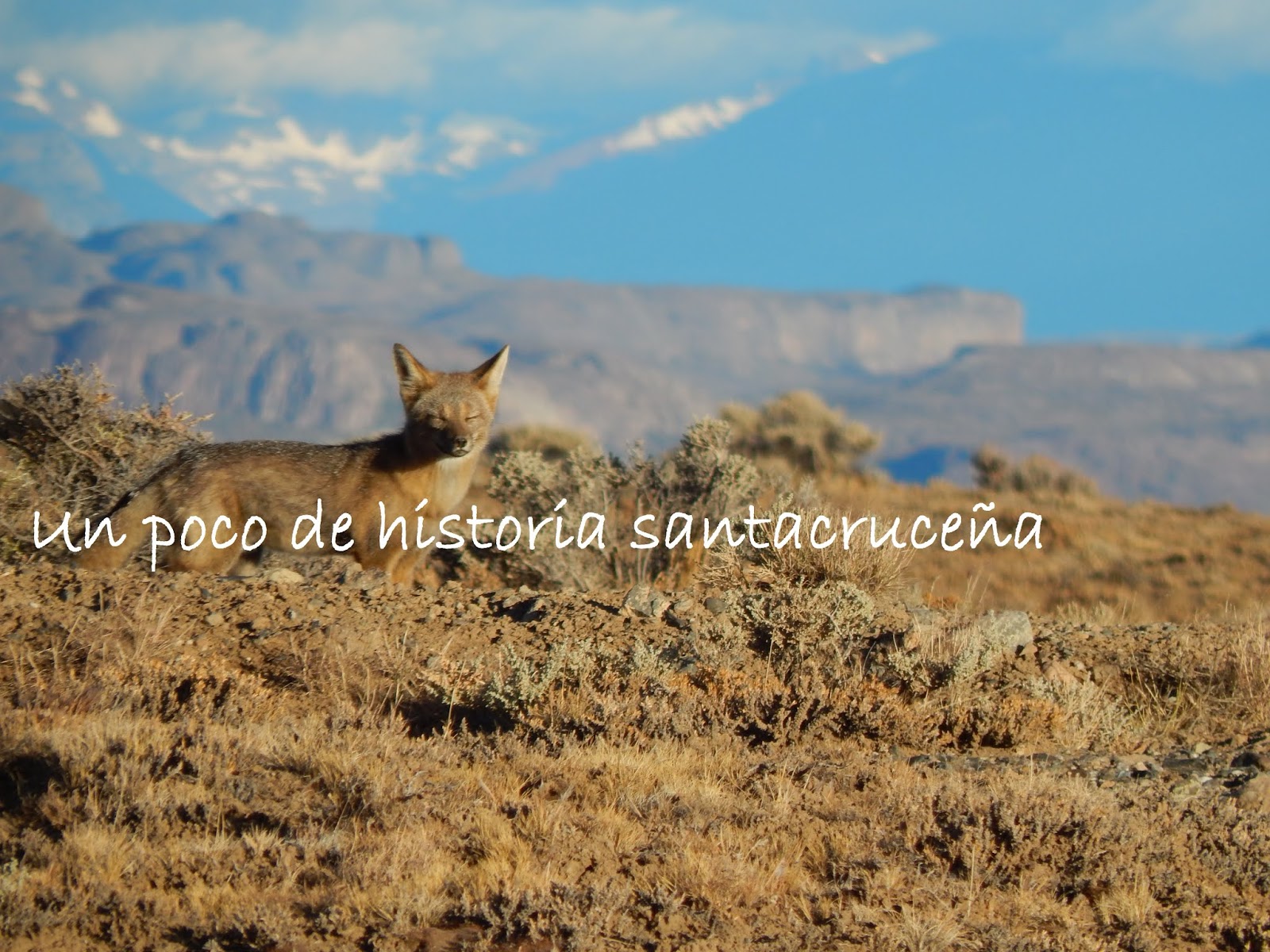 Un poco de historia santacruceña: CERRO DEL INDIO: