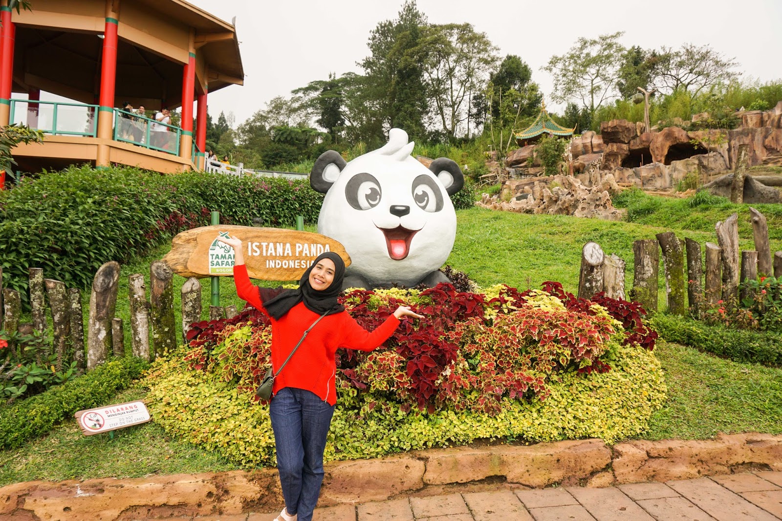 Lihat Giant Panda di Taman Safari Indonesia ~ Jurnaland