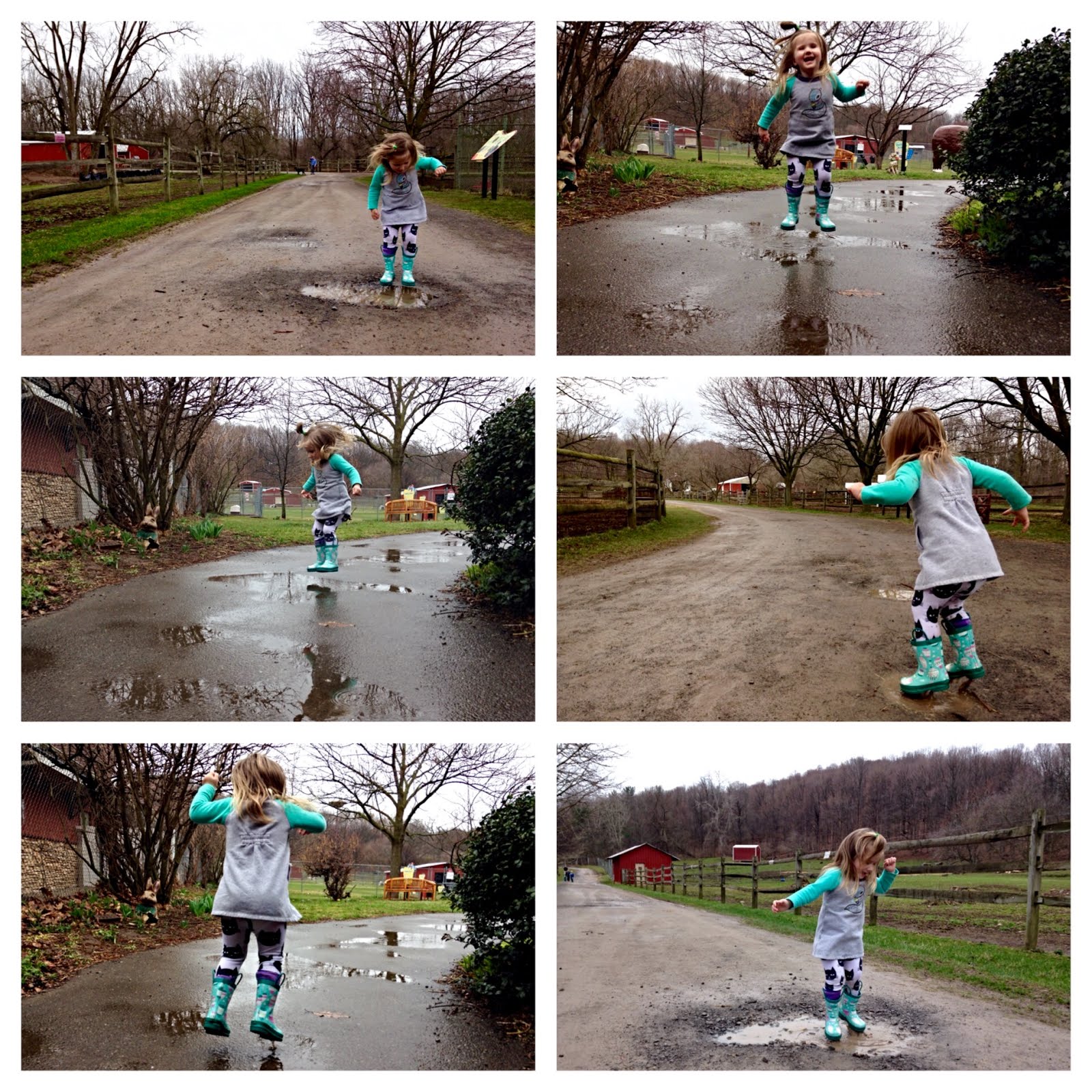 Good Morning Babycat: Muddy puddles