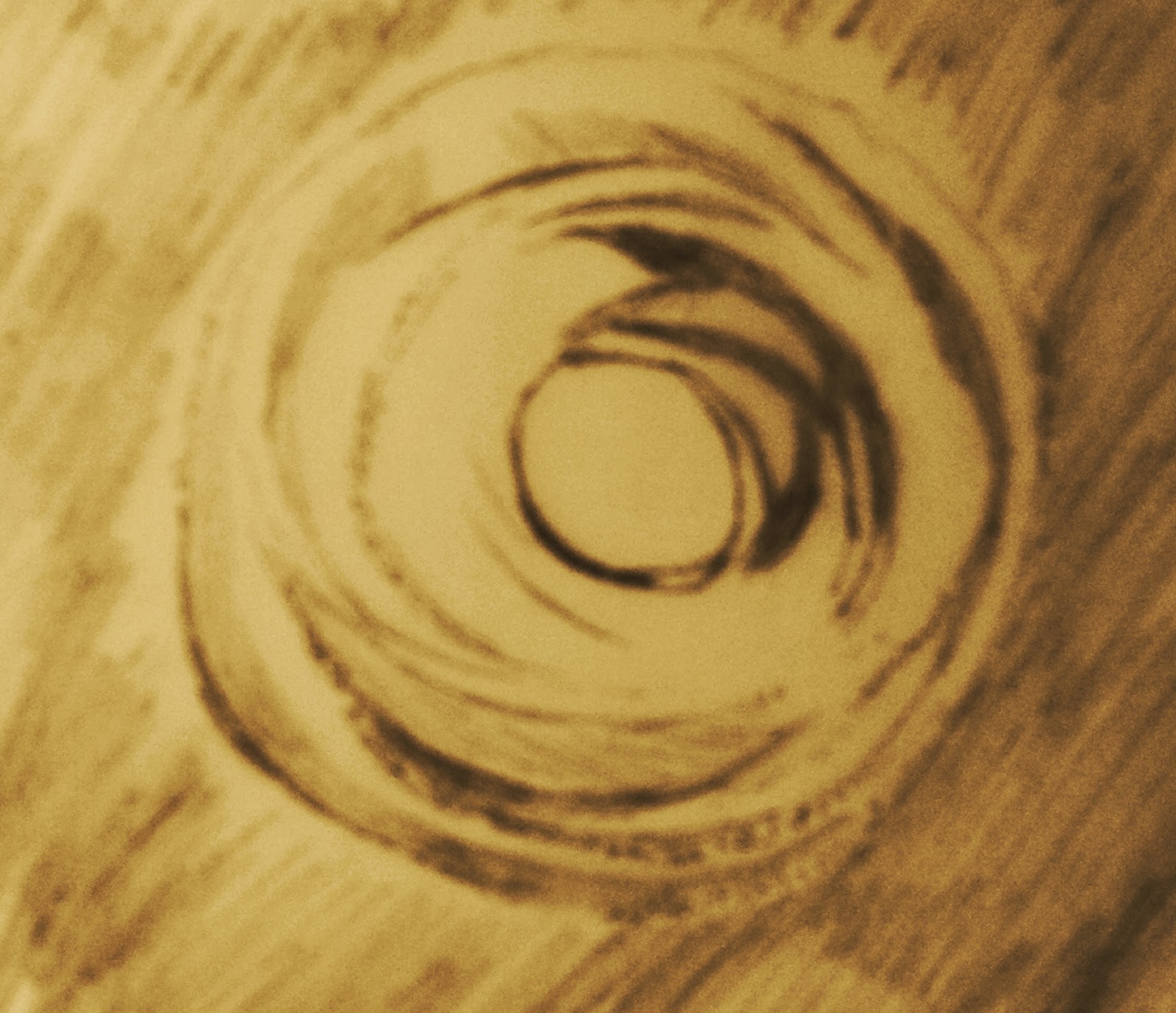 Monkeys & Rabbit Holes