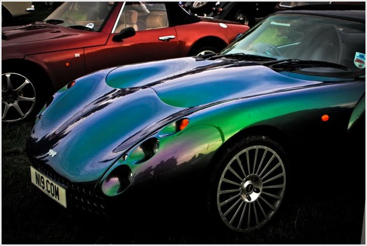 THE LAST VISIBLE DOG: The new 'flip' colours