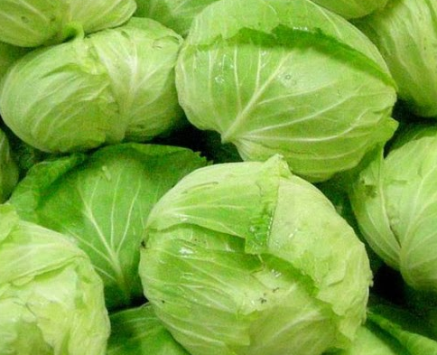 Benefits of vegetable Col - TRADITIONAL MEDICINE