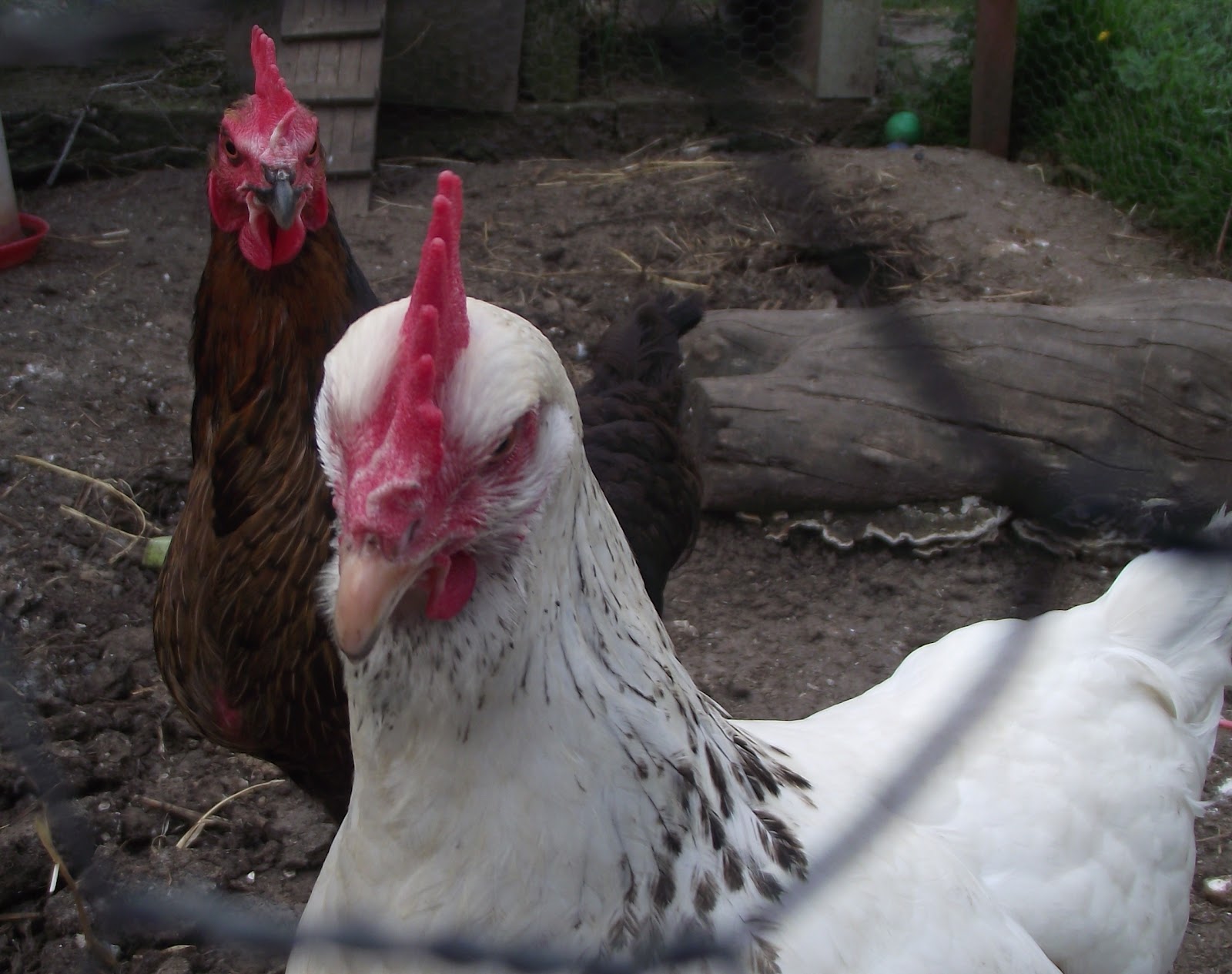 3D Military Art: Nothing to do with a gaming blog!