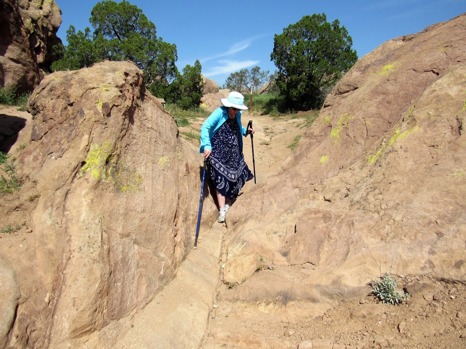 Coma Chameleon: My Recovery Chronicles: Breezing Through the Yawning ...