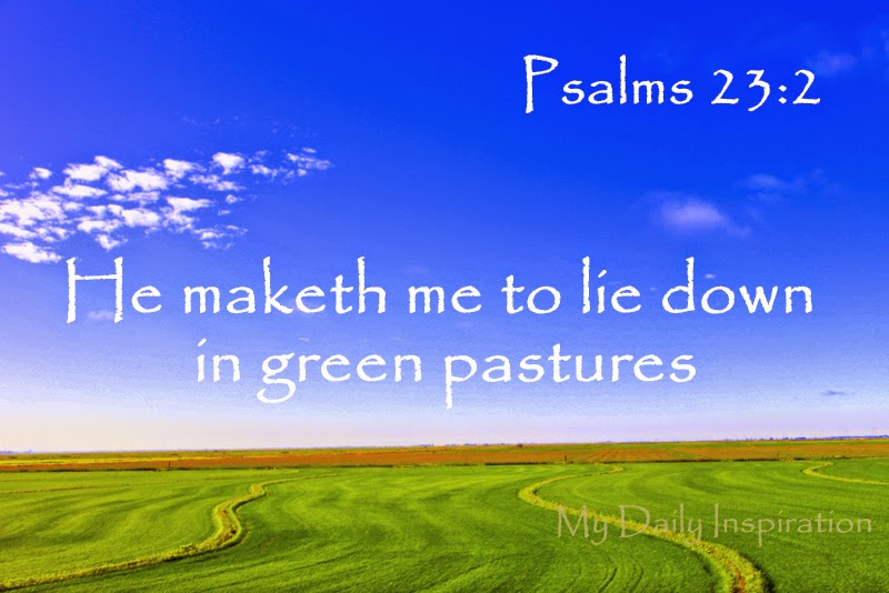 He makes me lie down in green pastures