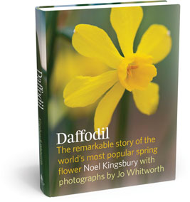 Daffodils - a new book from Kingsbury and Whitworth