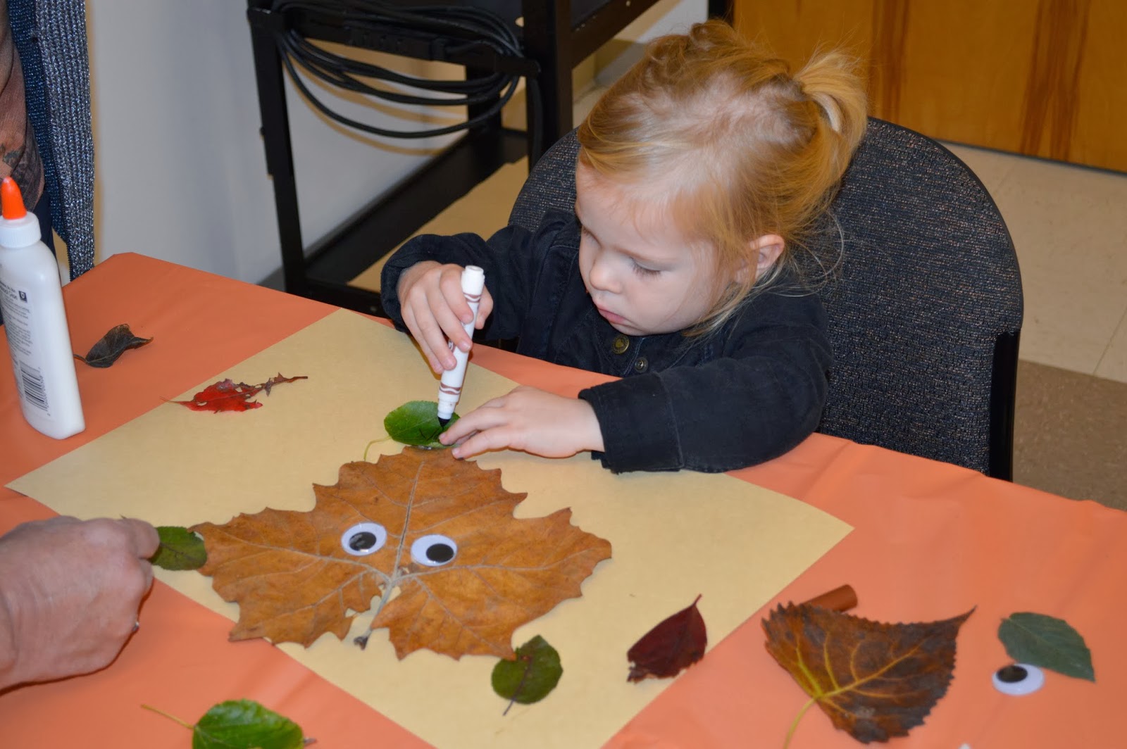 National Trail Parks and Recreation District: Leaf Fox - Play Pals