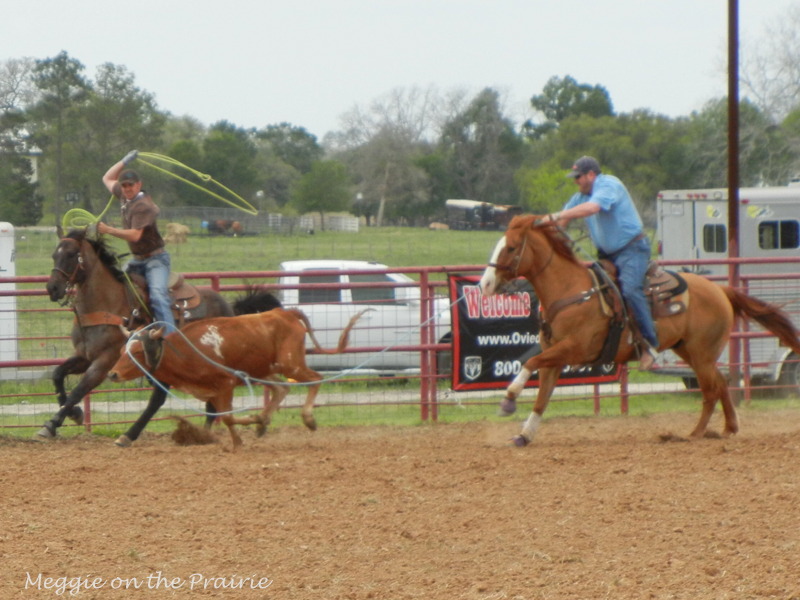 Meggie On The Prairie: Cowboys, Cowgirls, Horses and Team Roping