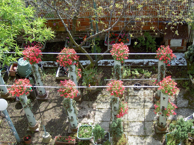 Đào Hoa: MOBILE VERTICAL PVC PIPE FLOWER GARDENS