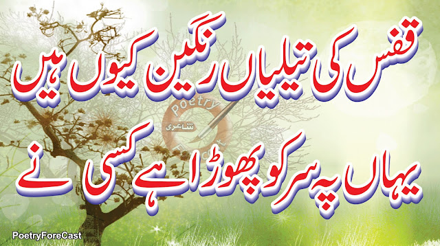 Umeed Poetry, Umeed Shayari And SMS 2 Line Urdu Poetry - PoetryForeCast ...
