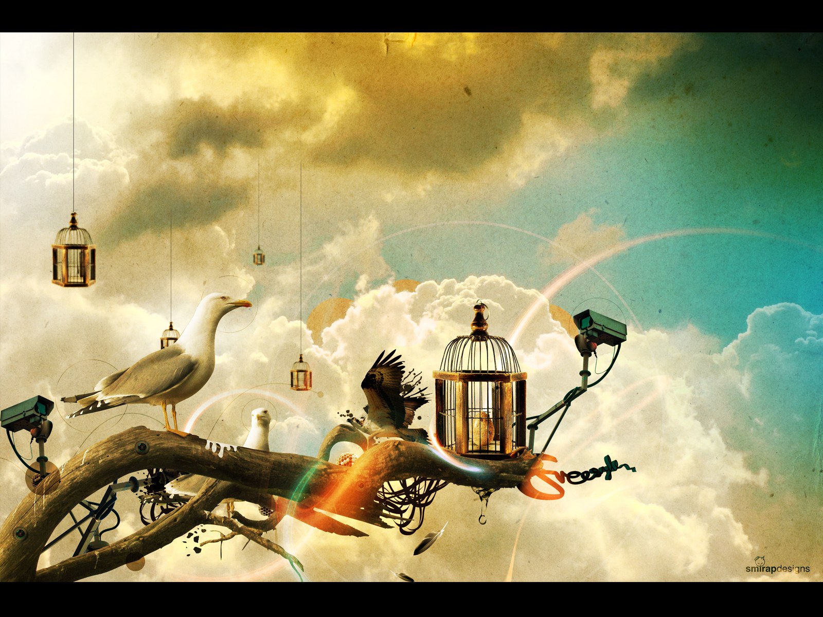 Weird Wallpapers: Lot of HD Weird of weird wallpapers