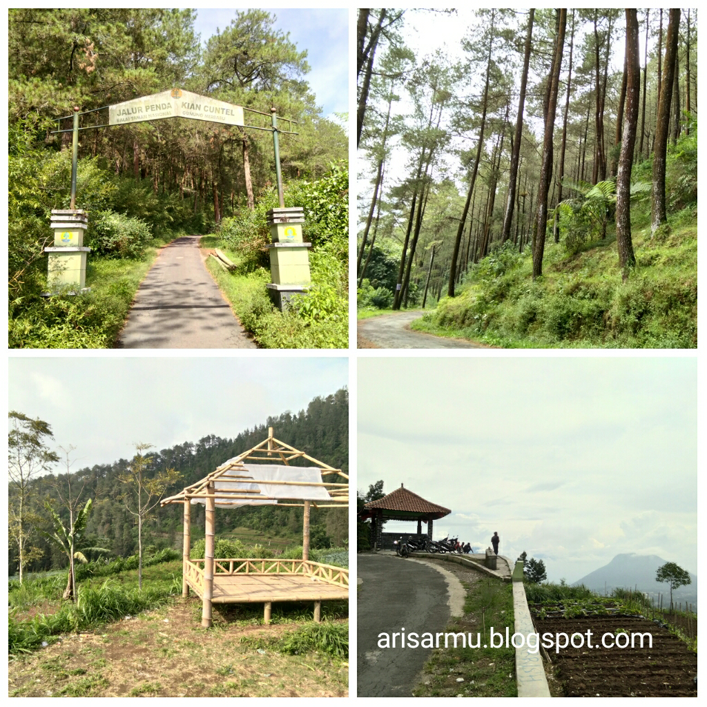 Stunning views toward Merbabu Base Camp Cuntel
