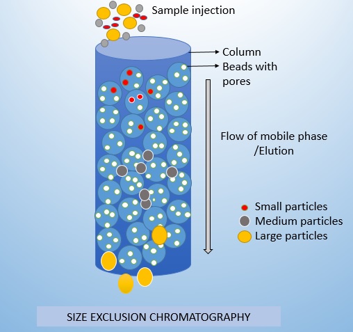TUTKIA biotech: SEC-01
