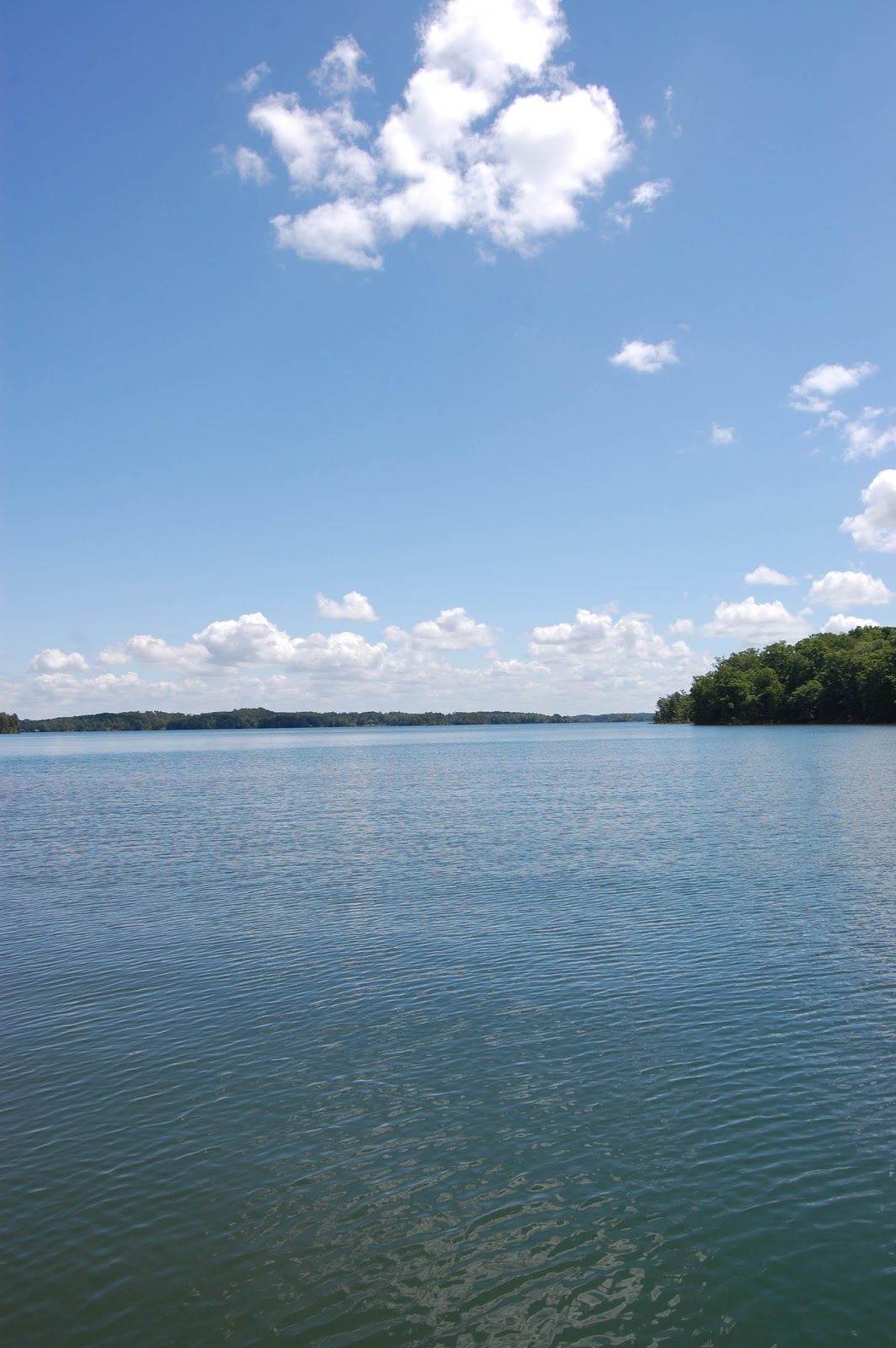 Jillian In Georgia: Lake Hartwell