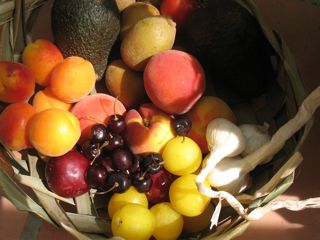 Seasonal inspiration: First Fruits Reflections