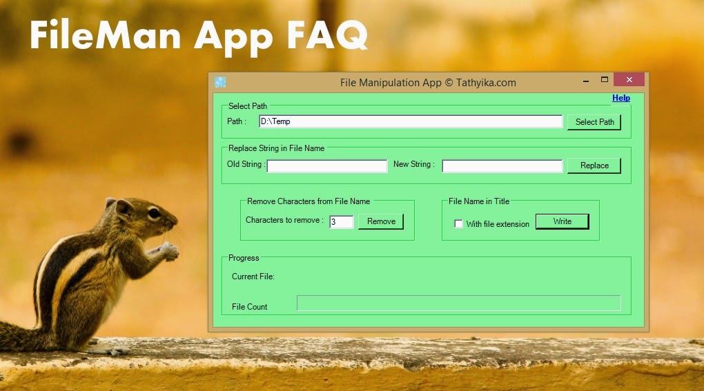 Faq For Fileman Application