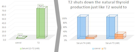 High Dose 3,5-Diiodo-L-Thyronine (T2) Has Similar Side Effects as ...