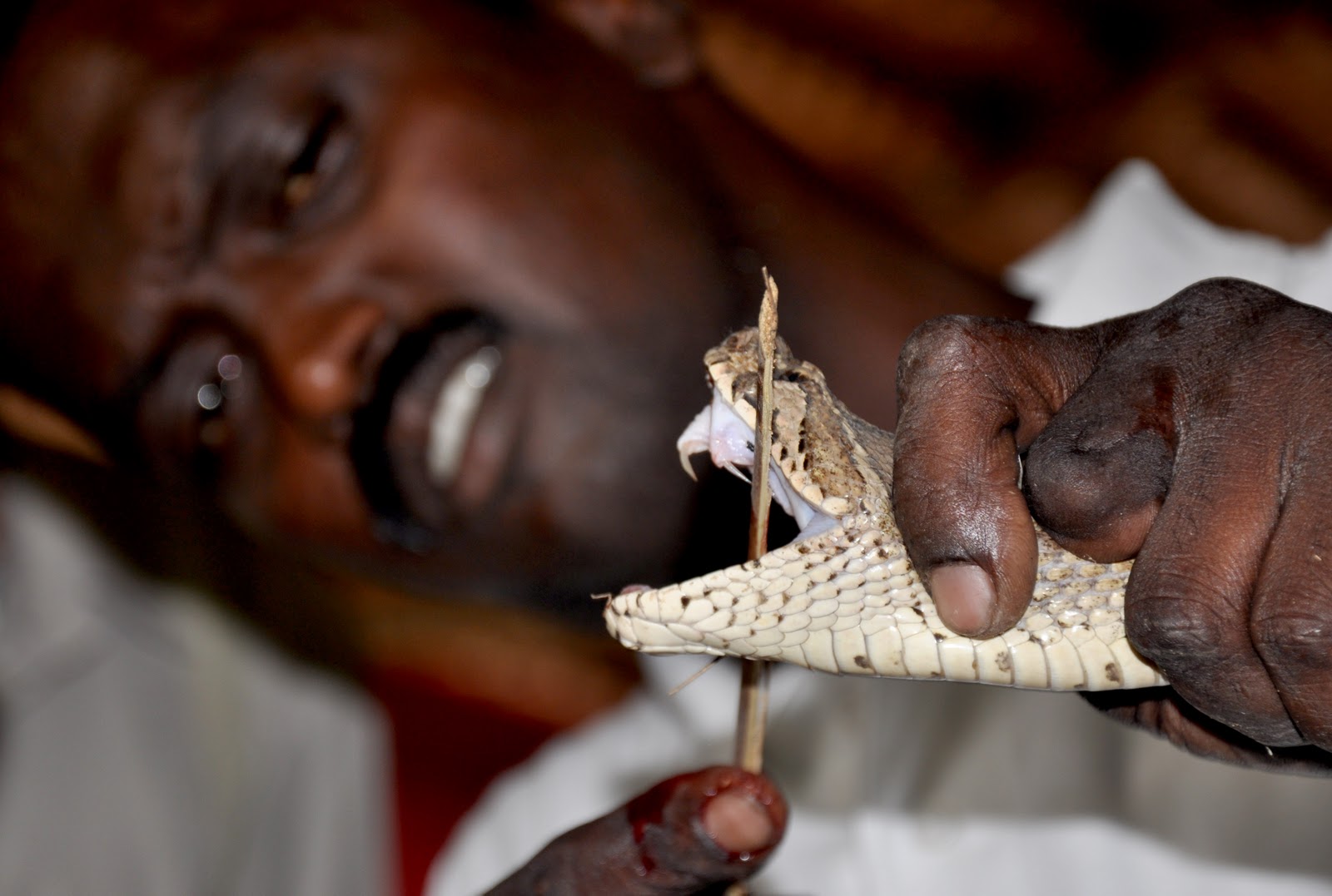 Serpent Research: Vava Suresh of Thiruvananthapuram