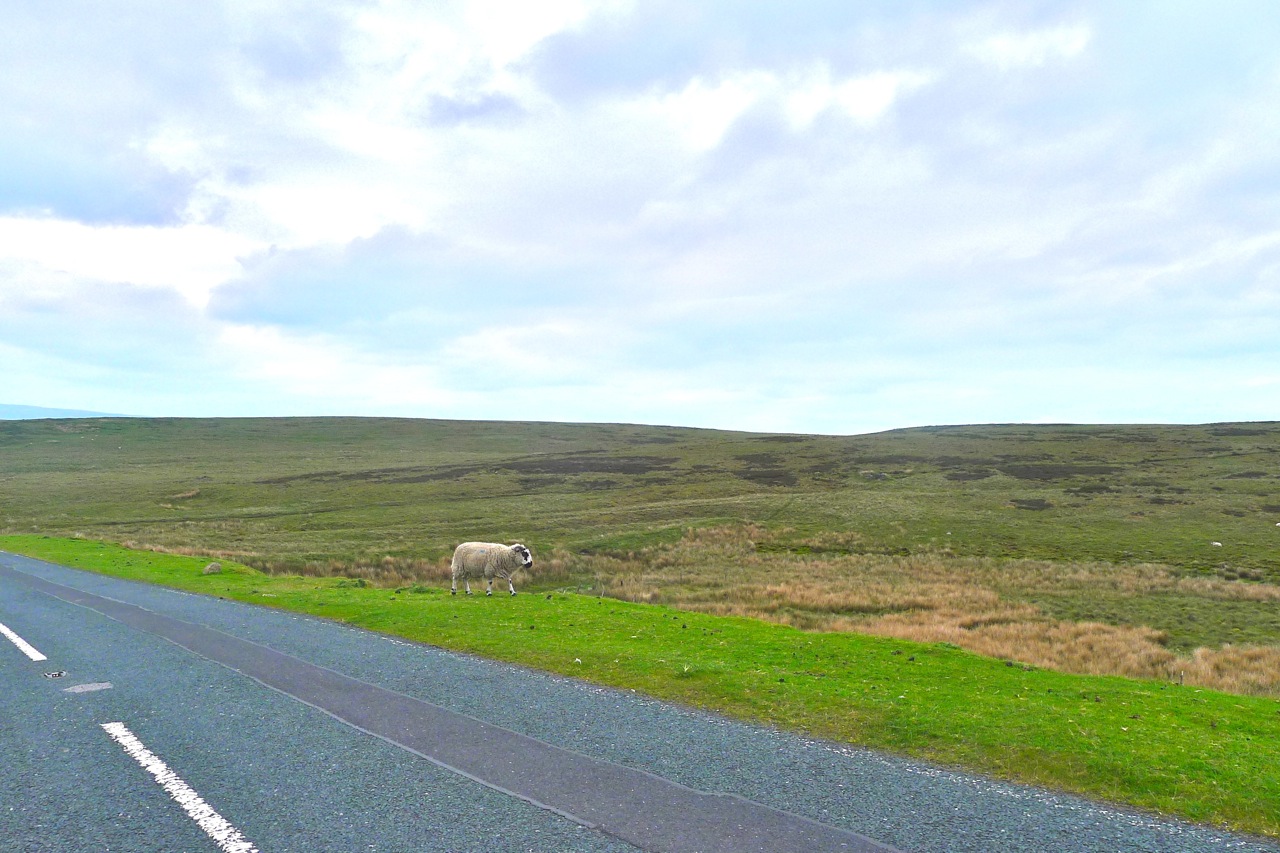 HUNGRY HOSS: Parkers Arms, Lancashire