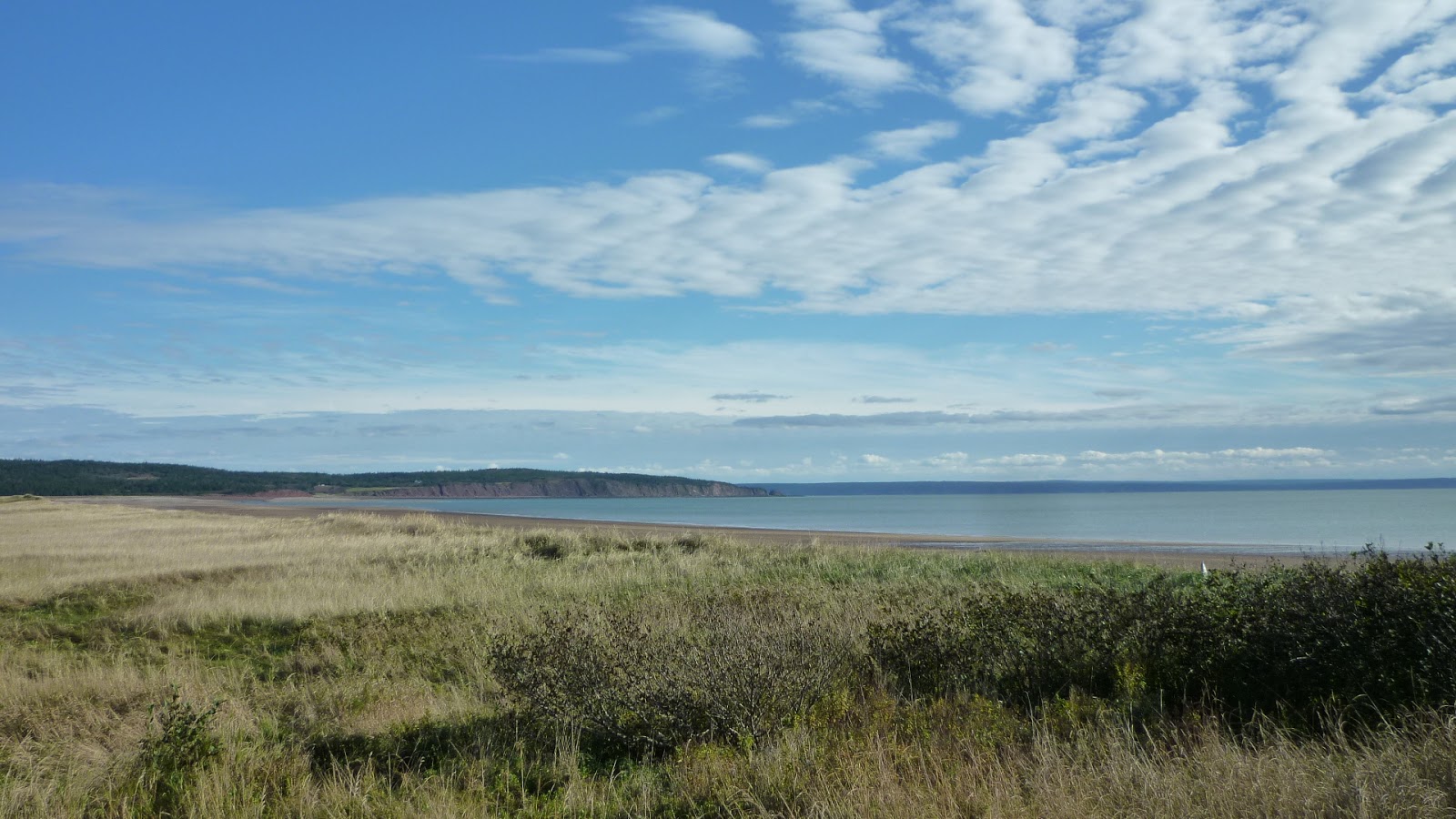 Daily Pics photographs by Caren-Marie Michel: Waterside Beach, New ...
