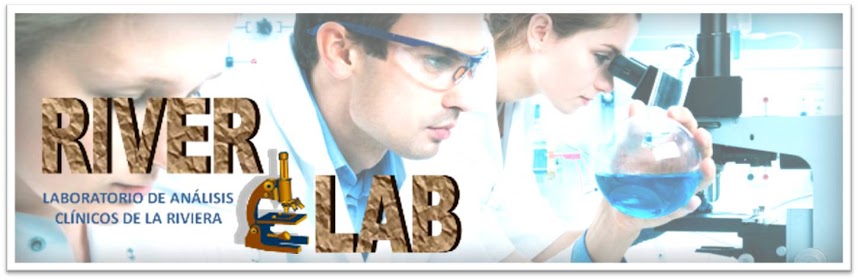 River Lab: Servicios