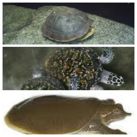 On The Spot Lovers: Desember 2016