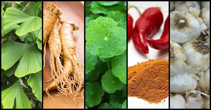 Powerful Herbs That Slows Down The Aging Process | Dr Farrah MD