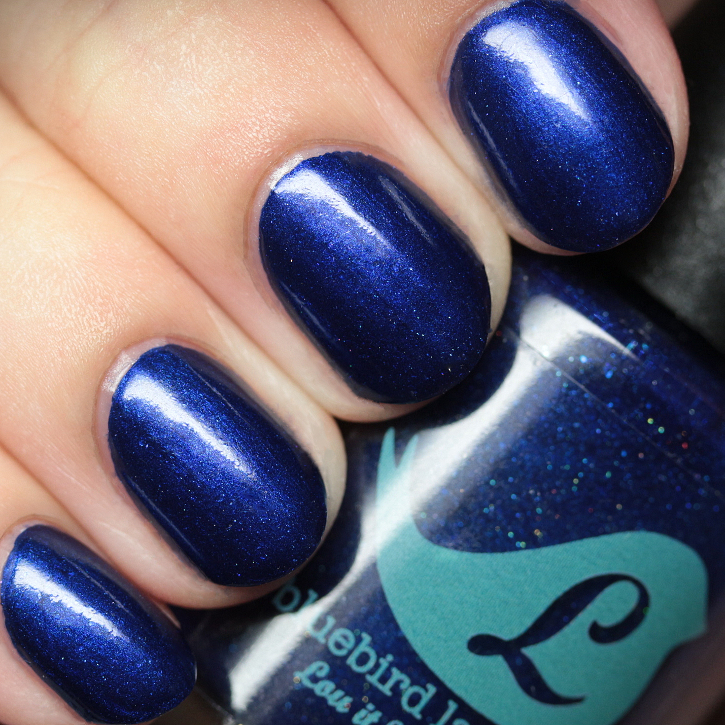The Polished Hippy: Bluebird Lacquer Vamp for the Summer Collection ...