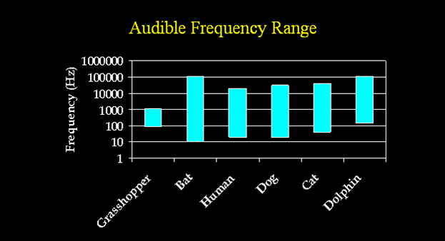 Audio, Image and Video Processing Blog: Week 4: 19/10/2012