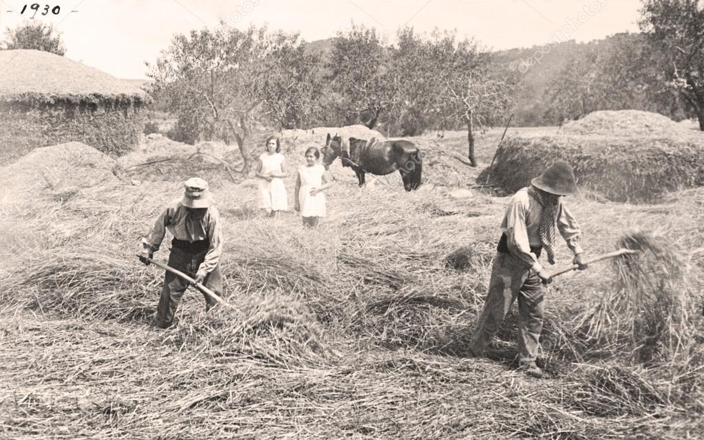 Lahiguera (JAEN): LAS DURAS CONDICIONES DE TRABAJO EN EL CAMPO EN ...