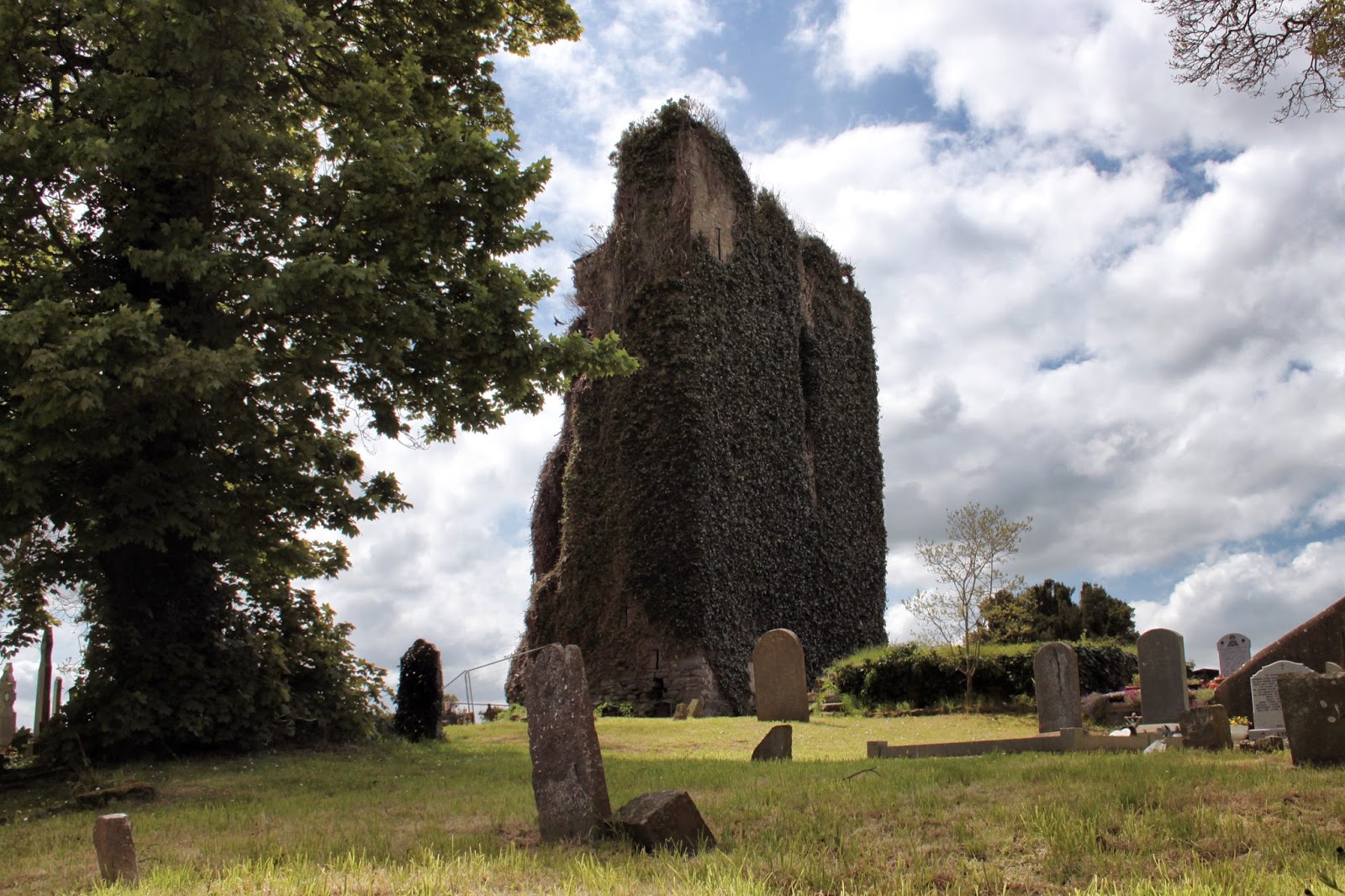 Historic Sites of Ireland: Bruree Castle (aka Ballynoe)
