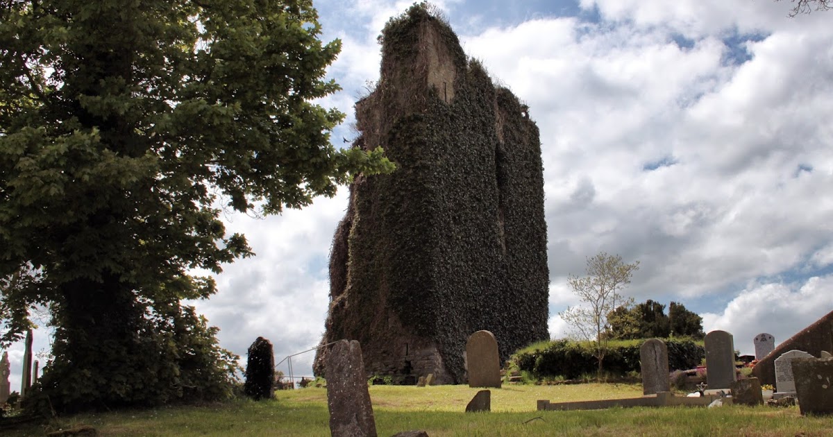 Historic Sites of Ireland: Bruree Castle (aka Ballynoe)