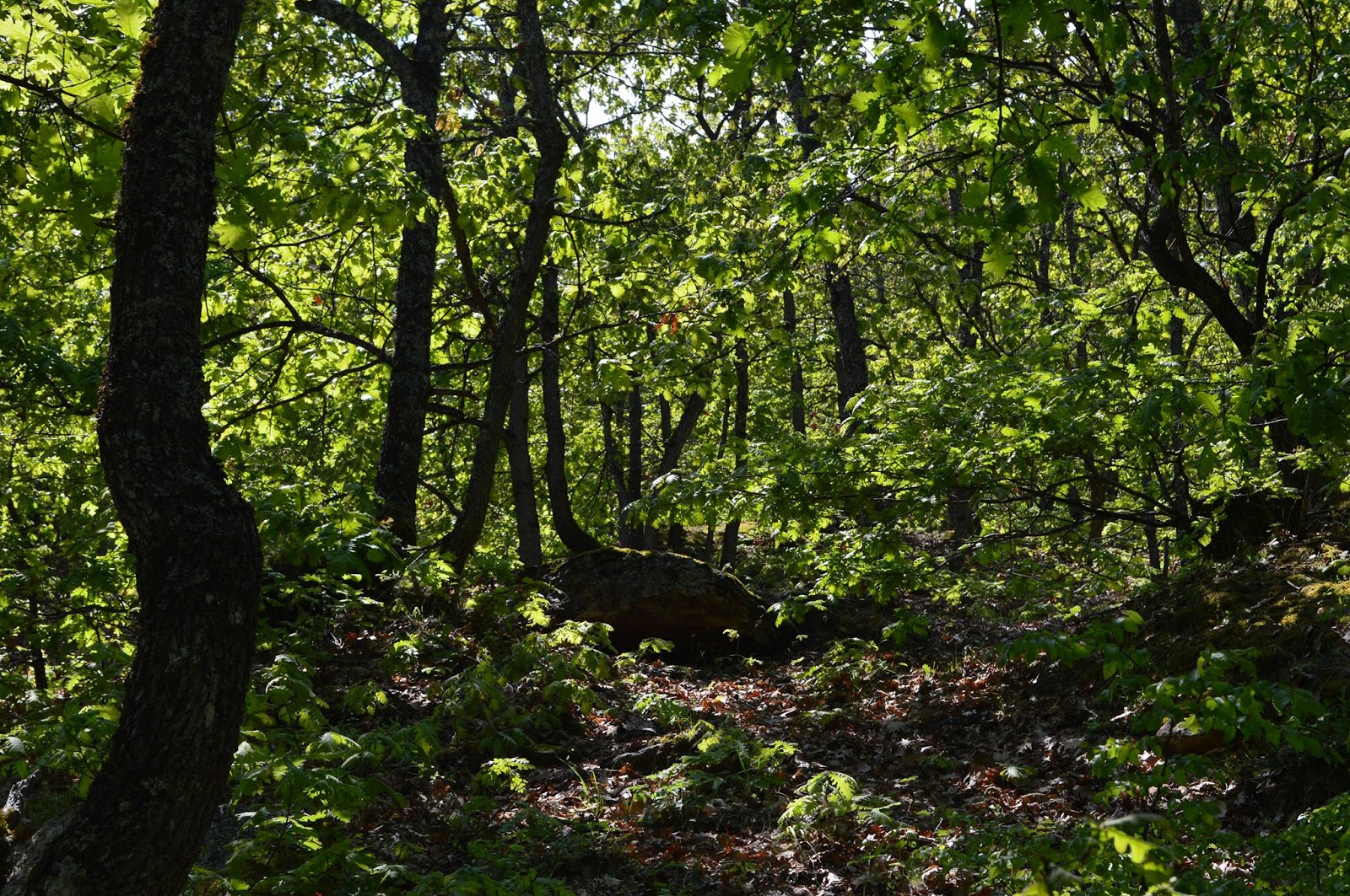 Das kleine wunderschöne Dorf Bogomila