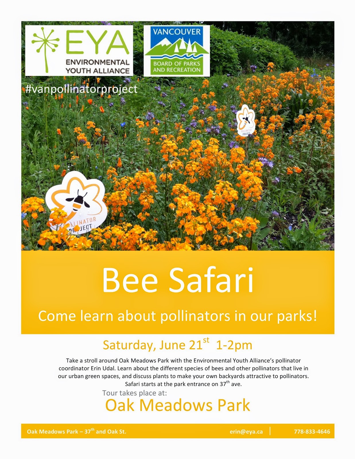 Victory Gardens for Bees: EYA Bee Safari and Photo Contest