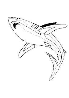 rechin imagini de colorat plansa rechini ~ Desene Imagini de colorat