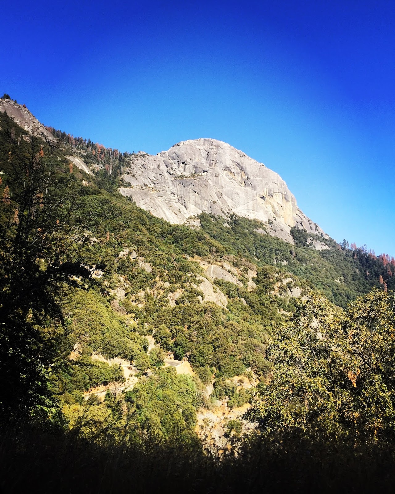 Sensory Overload: Sequoia National Park (Giant Trees and Marble Caverns)