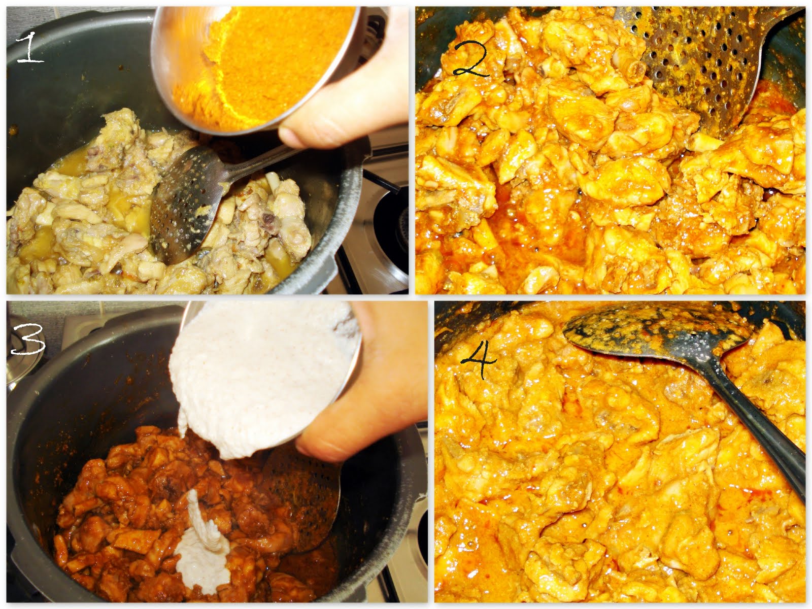 Spicy Andra Chicken curry