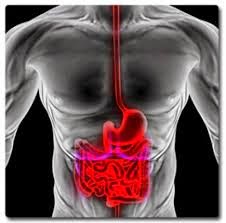 Dunia Farmasi: Digestiva