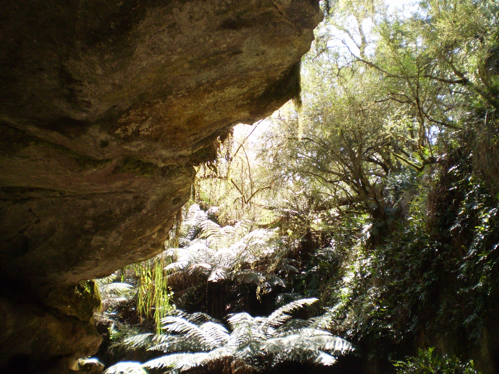 Phil's Bushwalking Blog: Deua National Park: Big Hole (2) and Marble Arch
