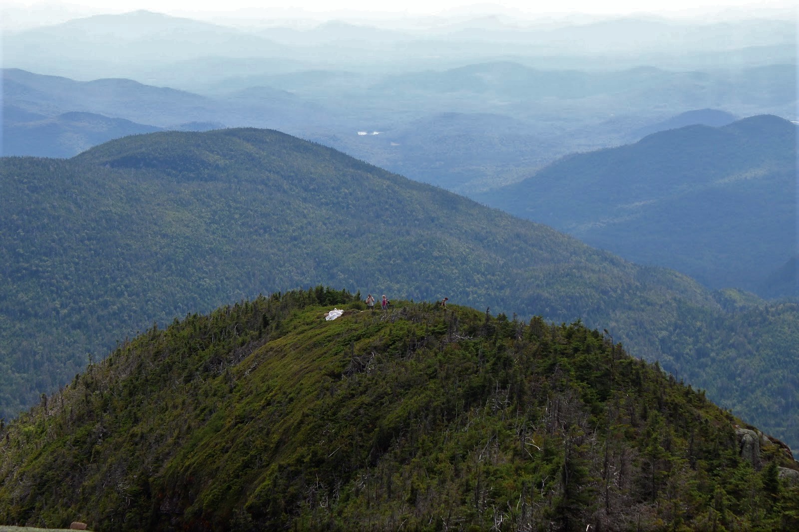 Walking Man 24 7: Mount Colden's SE Slide(Adirondack High Peaks)